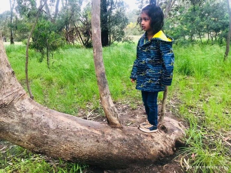 Sensory Experiences For Toddlers In Natural World - Home Made Legacy