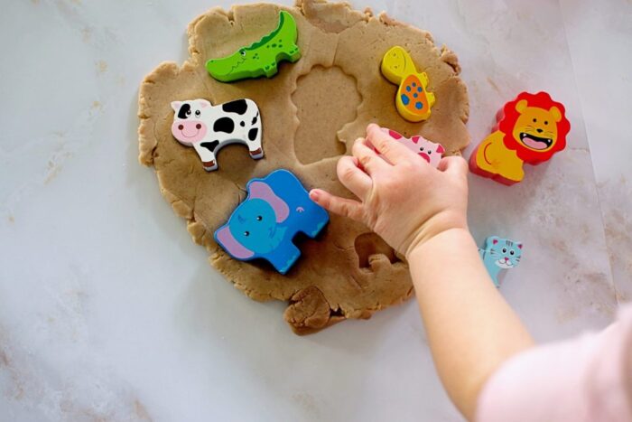 10 Educational PlayDough Activities For Preschoolers - Home Made Legacy